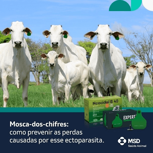 Alvorada Produtos Agropecuários - Marabá/PA