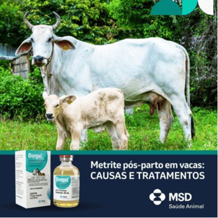 Alvorada Produtos Agropecuários - Goiânia/GO
